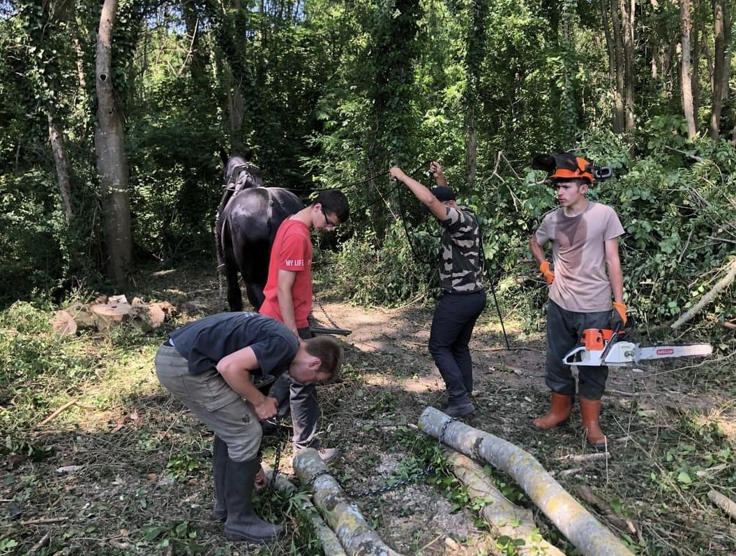 Bac Pro GMNF - MFR Saint-loup