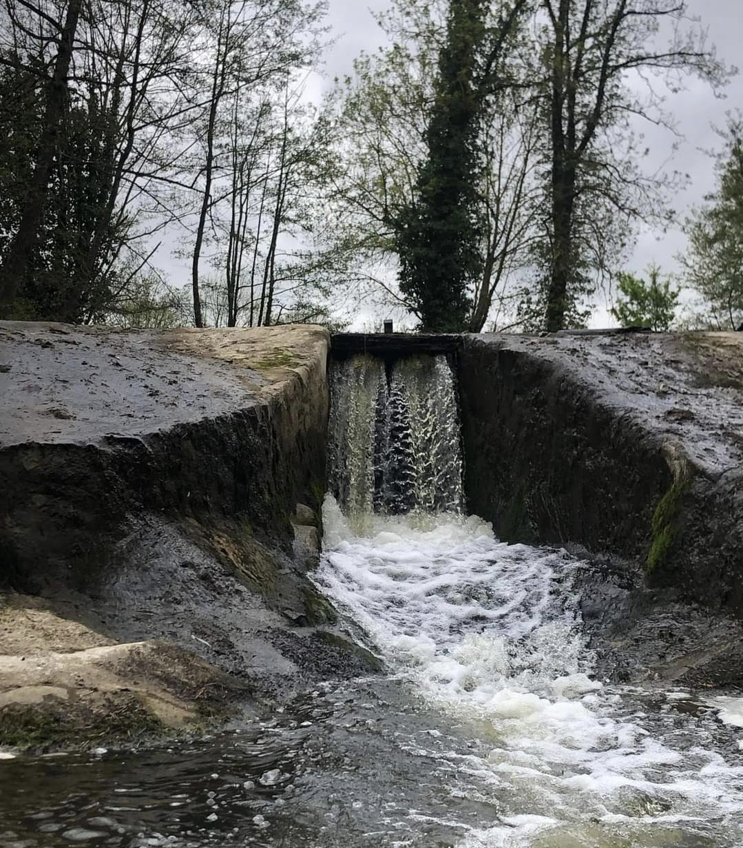 Mini stage présentation BAC PRO GMNF - MFR Saint-loup